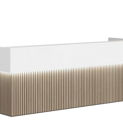 Orion Reception Desk